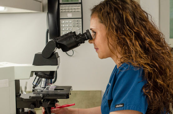 Dermatopathology Lab - Dermatology Specialists of Omaha